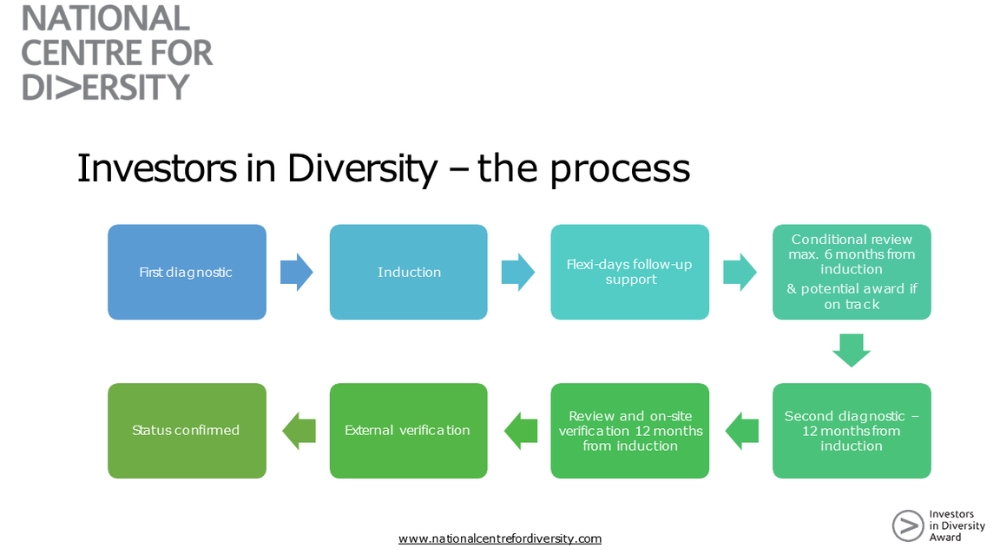 Case Study: Implementing the Investor's Diversity Framework - FE HR Hub