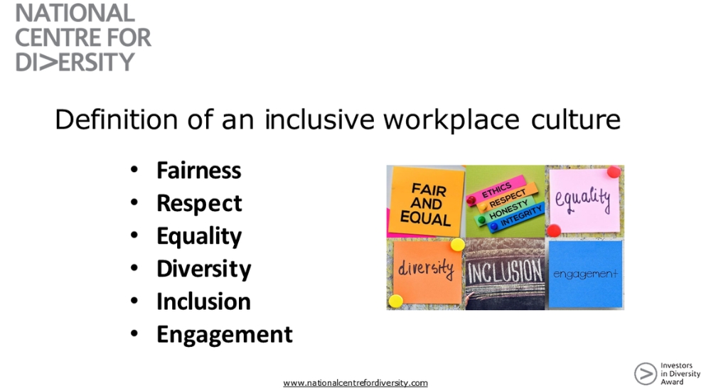 Case Study: Implementing the Investor's Diversity Framework - FE HR Hub